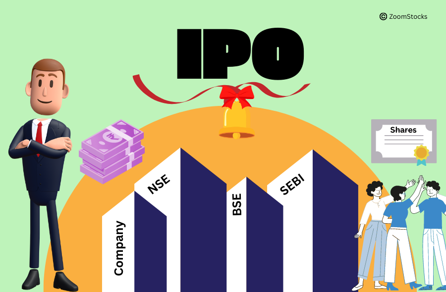 Who is a Book Running Lead Manager (BRLM)